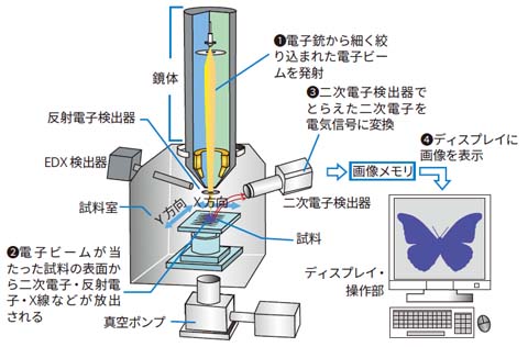 走査電子顕微鏡SEM (Scanning Electron Microscope) | 株式会社日産アーク